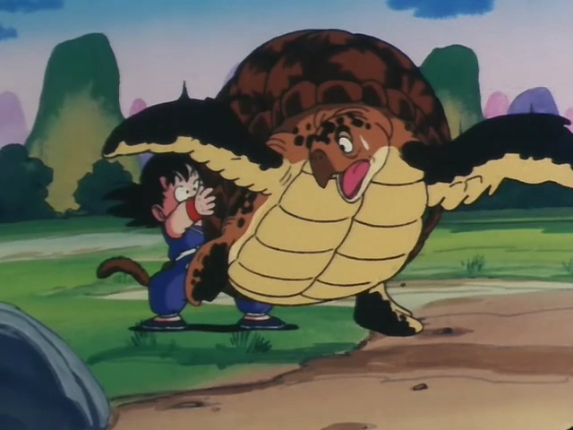 What did you like about Turtle? | Animania Club Wiki | Fandom