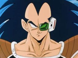 Raditz (Dragon Ball SF) | Dragonball Fanon Wiki | Fandom