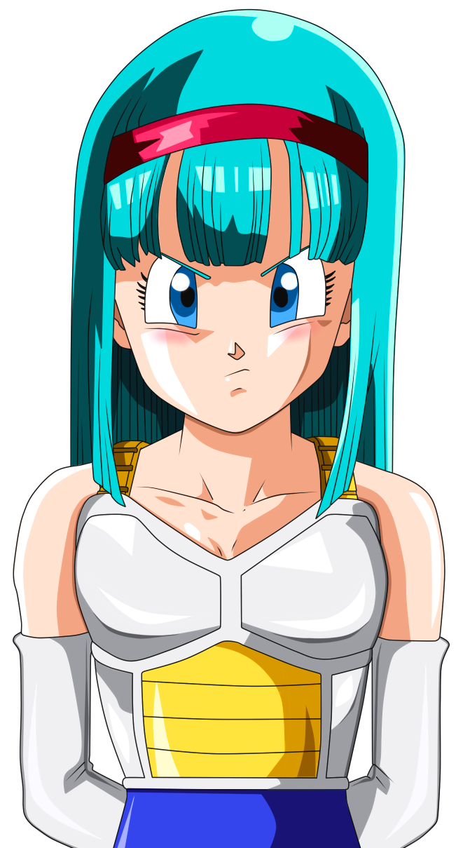 Bra (DBPZ) | Dragon Ball Fanon Wiki | Fandom