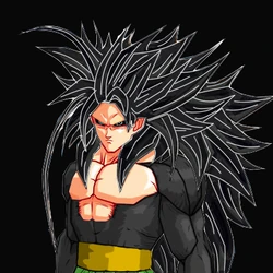 Goku All Super Saiyan Forms 1 10