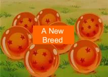Dragon Ball NG:New Generation Episode 2 | Dragonball Fanon Wiki | Fandom