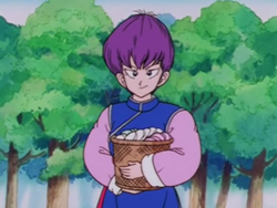 Fanfan (Dragon Ball SF) | Dragonball Fanon Wiki | Fandom