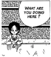 Videl | Dragon Ball Multiverse Wiki | Fandom