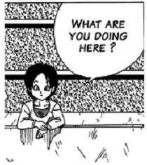 Videl | Dragon Ball Multiverse Wiki | Fandom