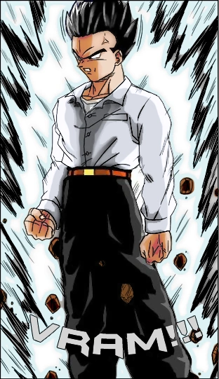 Gohan (Univers 16) | Bola de Drac Multiverse Wiki | Fandom