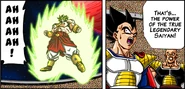 Broly (Universe 20) | Dragon Ball Multiverse Wiki | Fandom