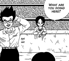 Videl (Universe 18) | Dragon Ball Multiverse Wiki | Fandom