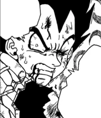 Vegeta (Universe 8) | Dragon Ball Multiverse Wiki | Fandom