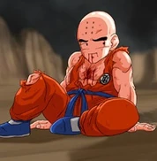 Crilin | Dragon Ball Multiverse Wiki | Fandom