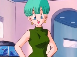 Bulma | Dragon Ball Net-Work Wiki | Fandom