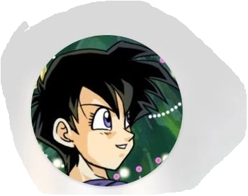 Videl | DragonBallRisingHeroes Wiki | Fandom