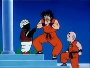 Mr. Popo | Dragon Ball Updates Wiki | Fandom