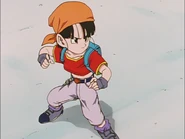 Pan | Dragon Ball Updates Wiki | Fandom