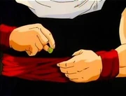 Senzu Bean | Dragon Ball Updates Wiki | Fandom