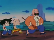 Master Roshi | Dragon Ball Updates Wiki | Fandom