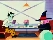Fortuneteller Baba | Dragon Ball Updates Wiki | Fandom