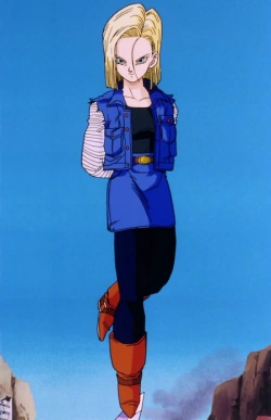 Future Android 18 | Dragon Ball Updates Wiki | Fandom