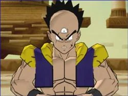 Tien And Yamcha Fusion