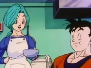 Future Bulma | Dragon Ball Updates Wiki | Fandom