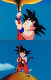 Power Pole | Dragon Ball Updates Wiki | Fandom