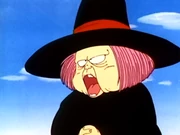 Fortuneteller Baba | Dragon Ball Updates Wiki | Fandom
