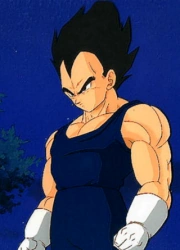 Vegeta (dragon ball z new story) | Dragon Ball z a New Story Wiki | Fandom