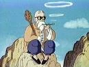 Master Roshi | Dragonballz Wiki | Fandom