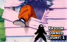 Running Jokes | Dragon Ball Z The Abridged Series Wiki | Fandom