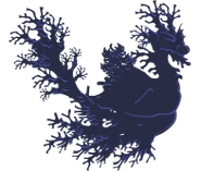 Coral Dragon | Dragon City Wiki | Fandom