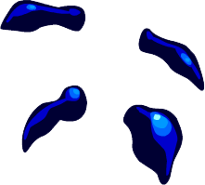 Leech | Dragon City Wiki | Fandom