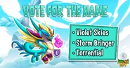 Storm Bringer Dragon | Dragon City Wiki | Fandom
