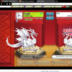 Mirror Dragon Weakness