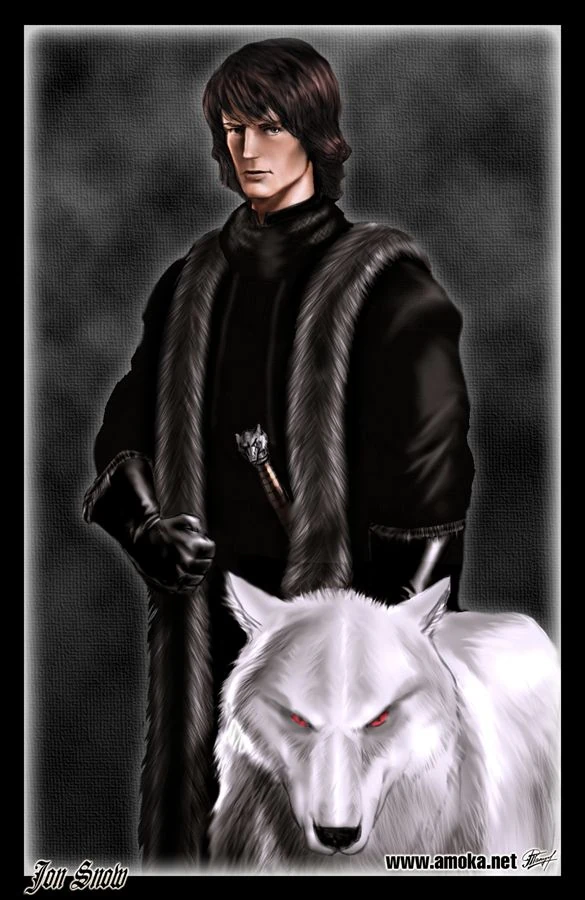 Jon Nieve | Wiki DragonDePapel | Fandom