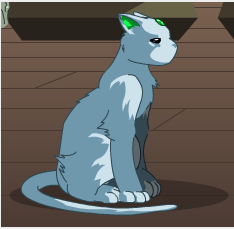 BraveSirRobin Cat | DragonFable Wiki | Fandom