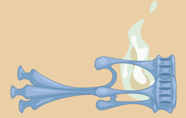 Fallen Water Torch | DragonFable Wiki | Fandom