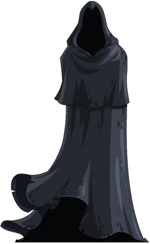 Mysterious Stranger | DragonFable Wiki | Fandom