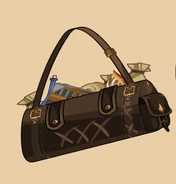 Swordhaven Carrier Bag | DragonFable Wiki | Fandom
