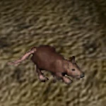 Frenzy Rat | Dragon Fantasy RPG (Facebook) Wiki | Fandom