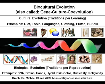 Gene-culture coevolution | DragonflyIssuesInEvolution13 Wiki | Fandom