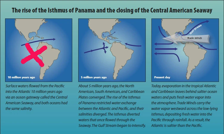 Great American Interchange Great American Interchange