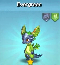 Evergreen Dragon | Dragonfriends Wiki | Fandom