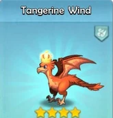 Wind Dragon | Dragonfriends Wiki | Fandom