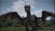 Drago | Dragonheart Wiki | Fandom