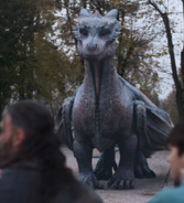 Siveth | Dragonheart Wiki | Fandom