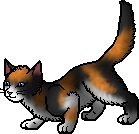 Mistykit | Swiftflame Wiki | Fandom