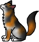 Mistykit | Swiftflame Wiki | Fandom