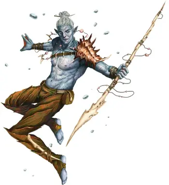Sea Elf | Dragonlance Wiki | Fandom