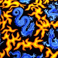 Dragon Life Wiki | Fandom