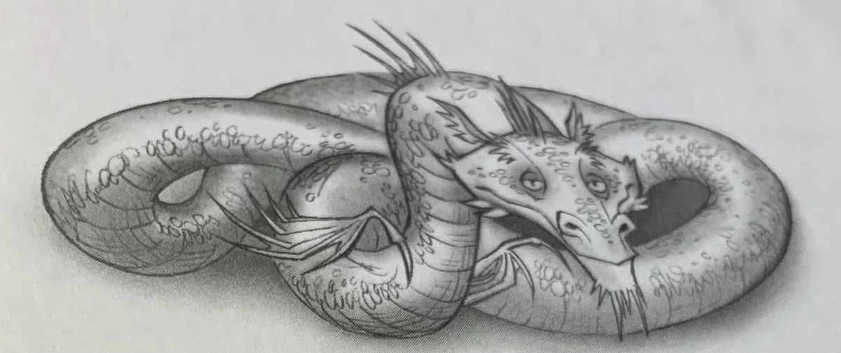 Dragon Colouring in | DragonMasters Wiki | Fandom