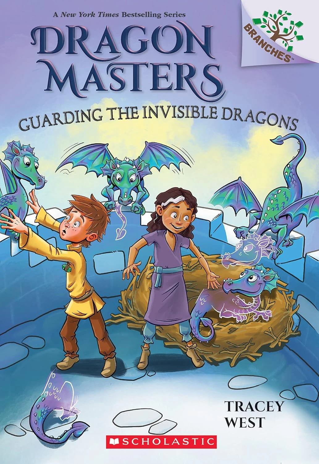 Guarding the Invisible Dragons | DragonMasters Wiki | Fandom